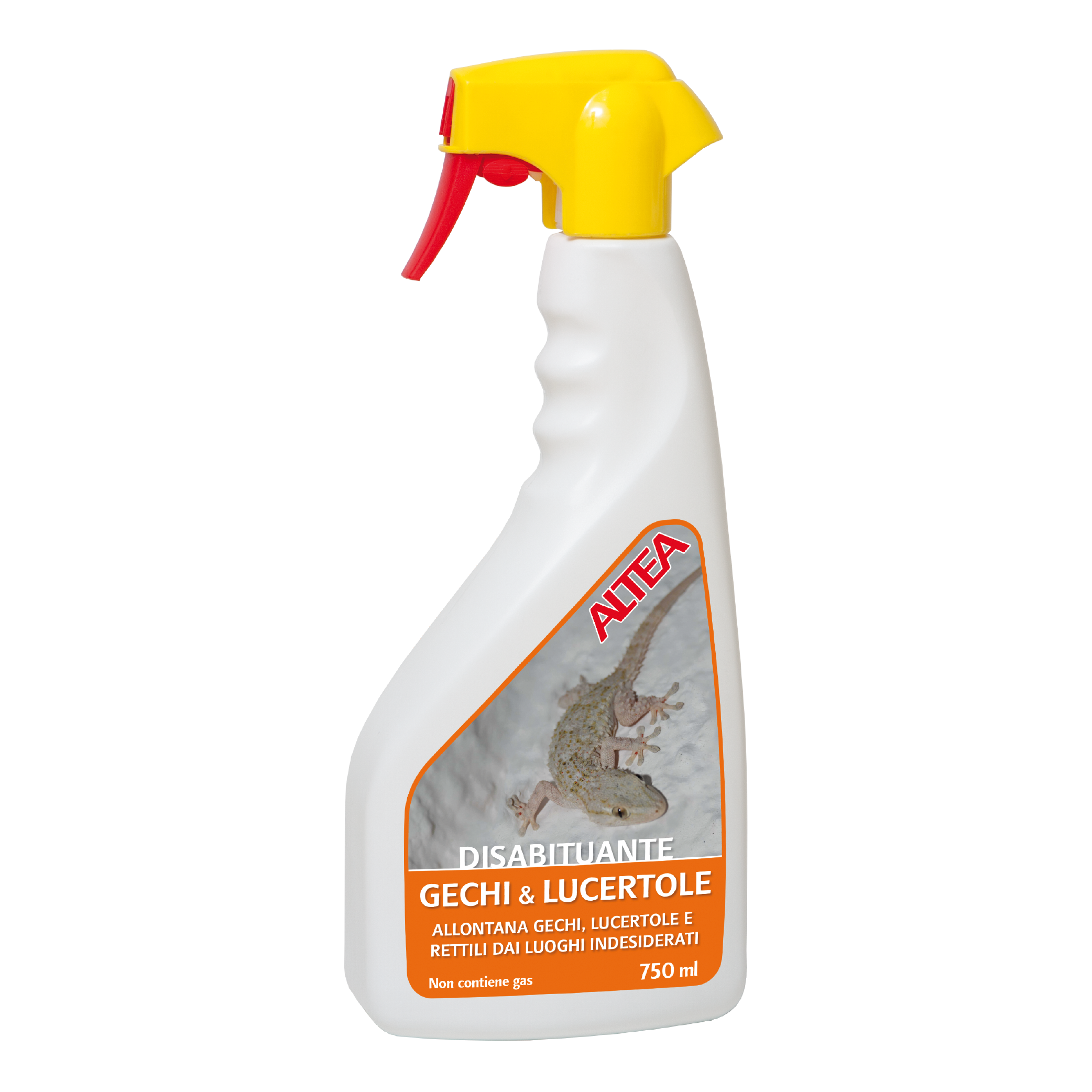 GECHI E LUCERTOLE – Altea