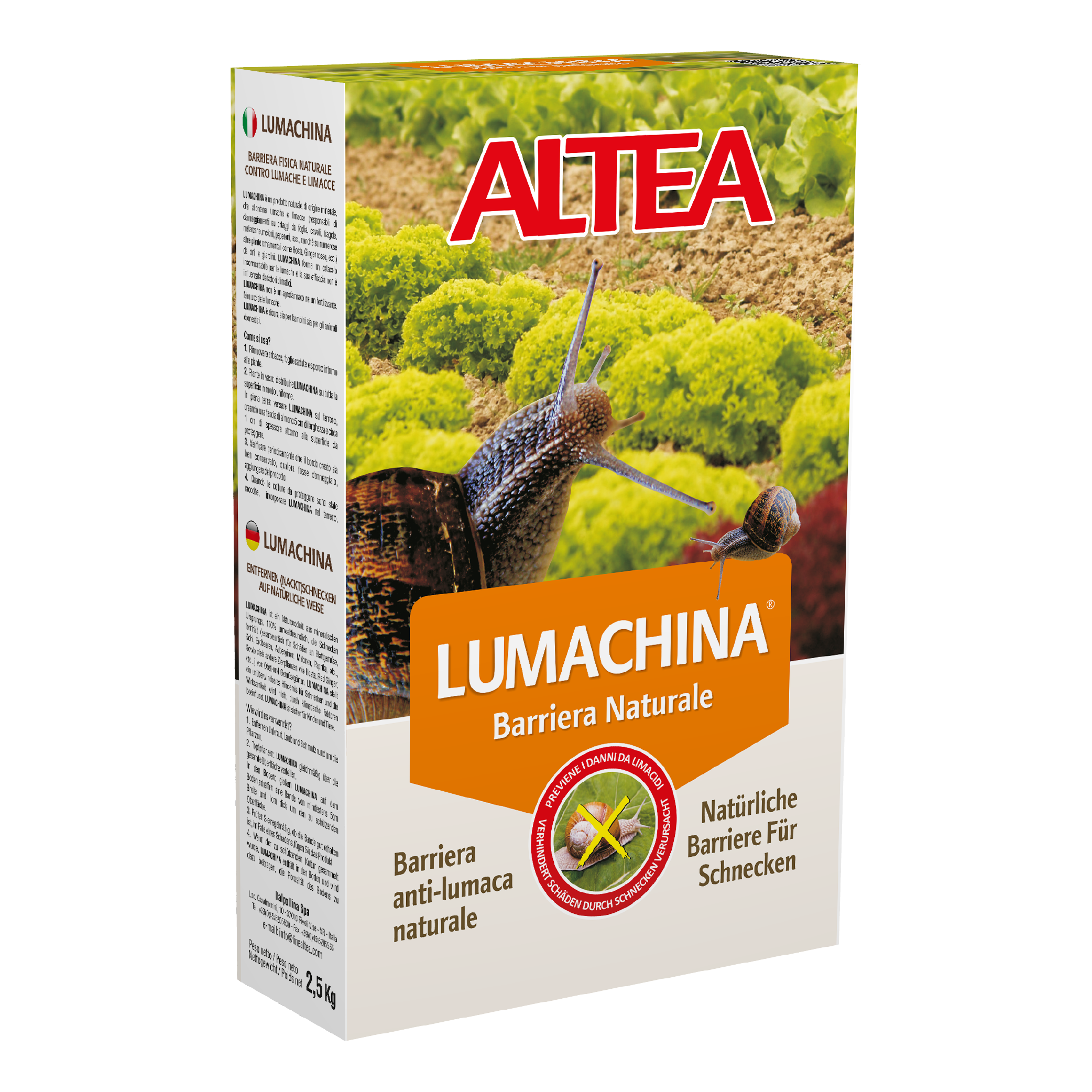 LUMACHINA – Altea