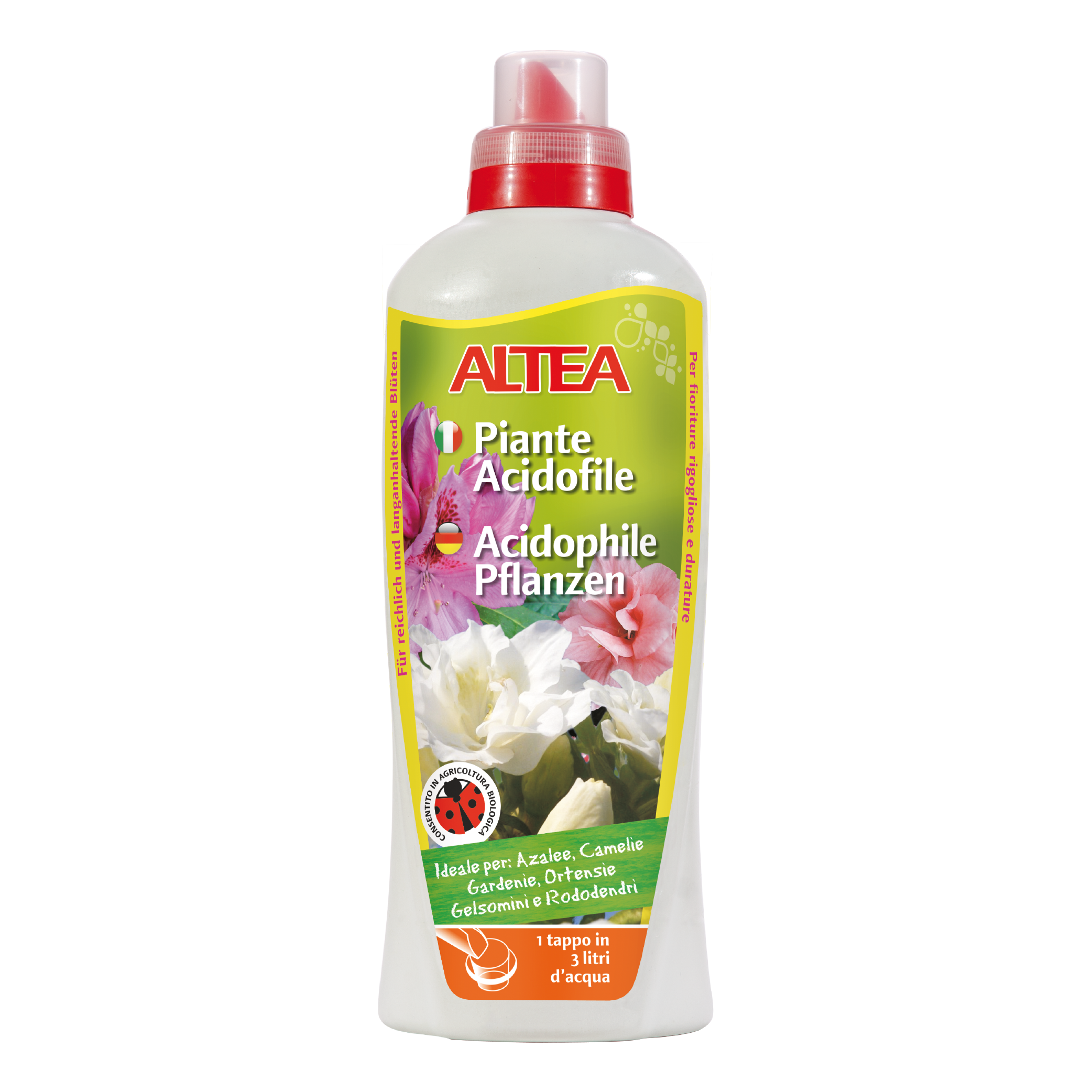 PIANTE ACIDOFILE – Altea