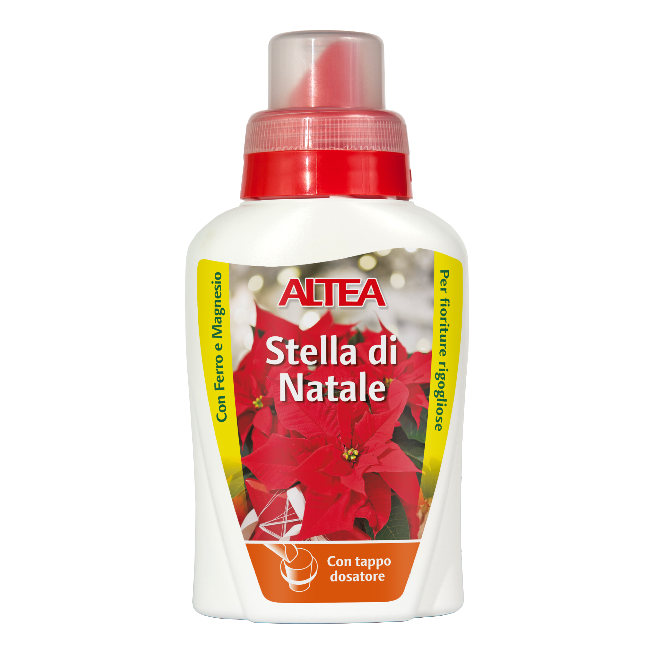 STELLA DI NATALE – Altea